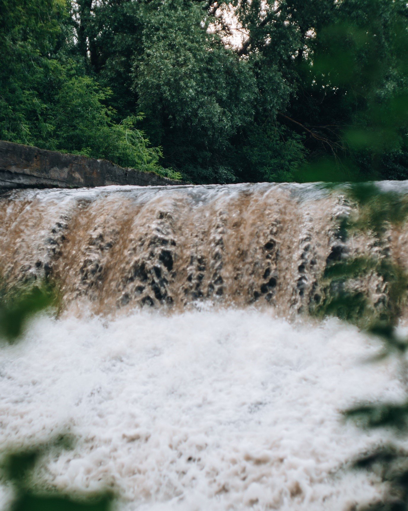 A dam built in the Amazon created thousands of ‘forest islands’ but ...