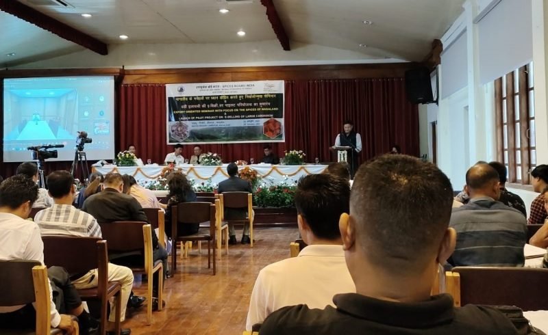 Large Cardamon the key to integrating economic development trade ...