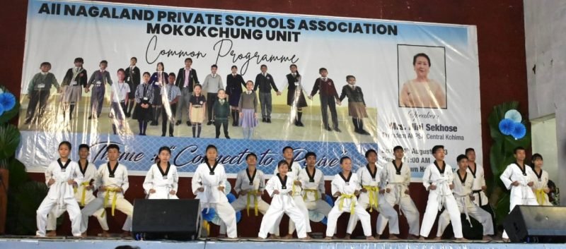 ANPSA Mokokchung unit's common program addresses challenges of NEP 2020 ...