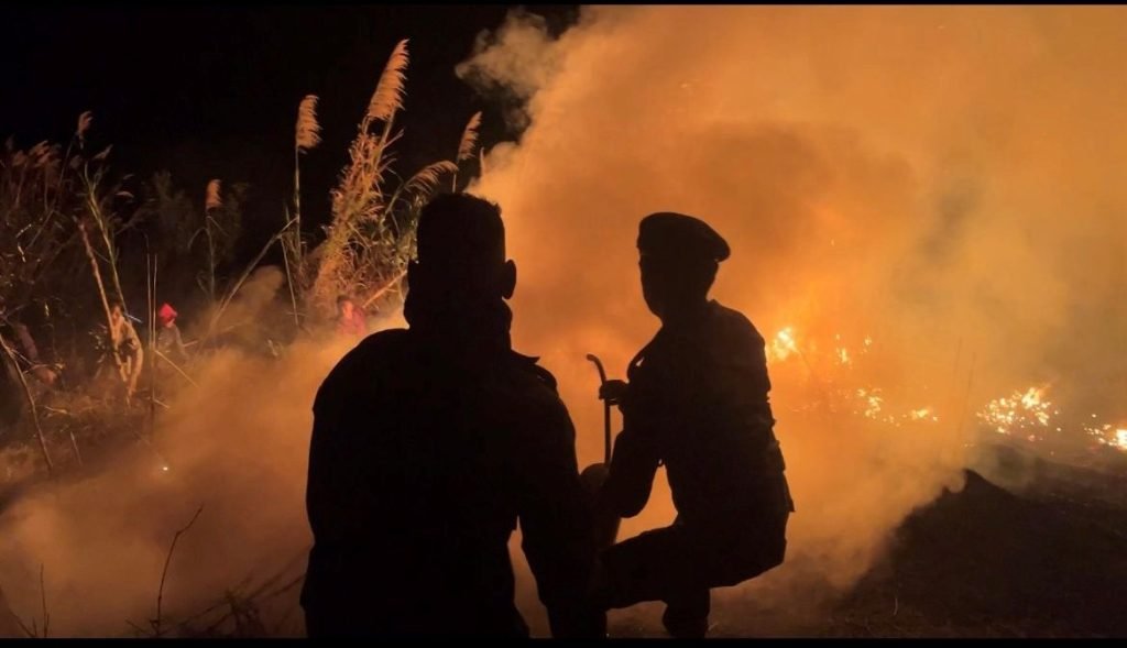 Assam Rifles and locals douse forest fire near Longwa village ...