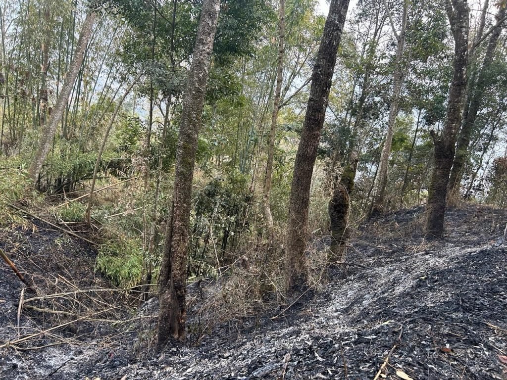 Wokha Village farmers safely conclude burning of fields for jhum ...