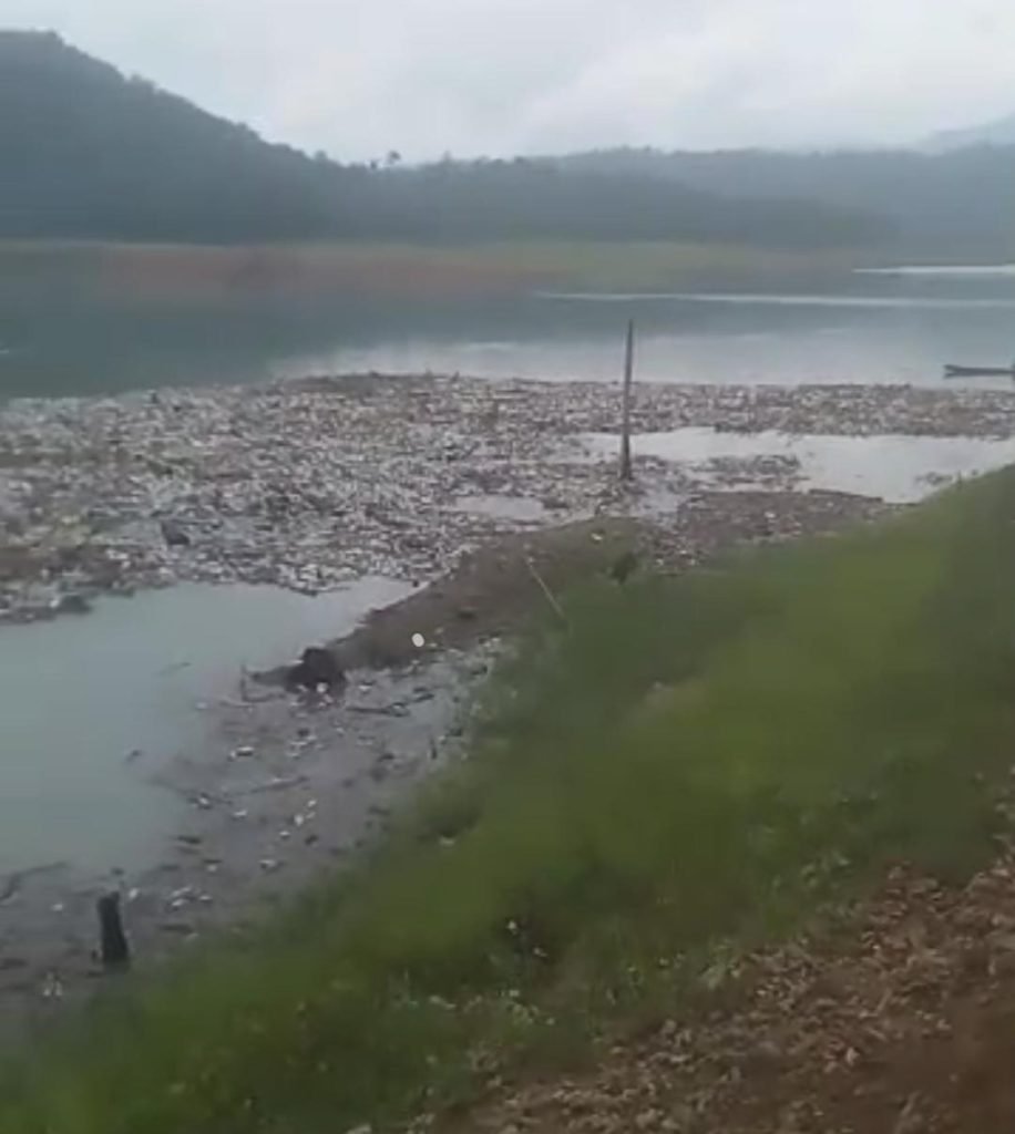 Plastic waste deposits in Doyang Dam to adversely impact humans and ...