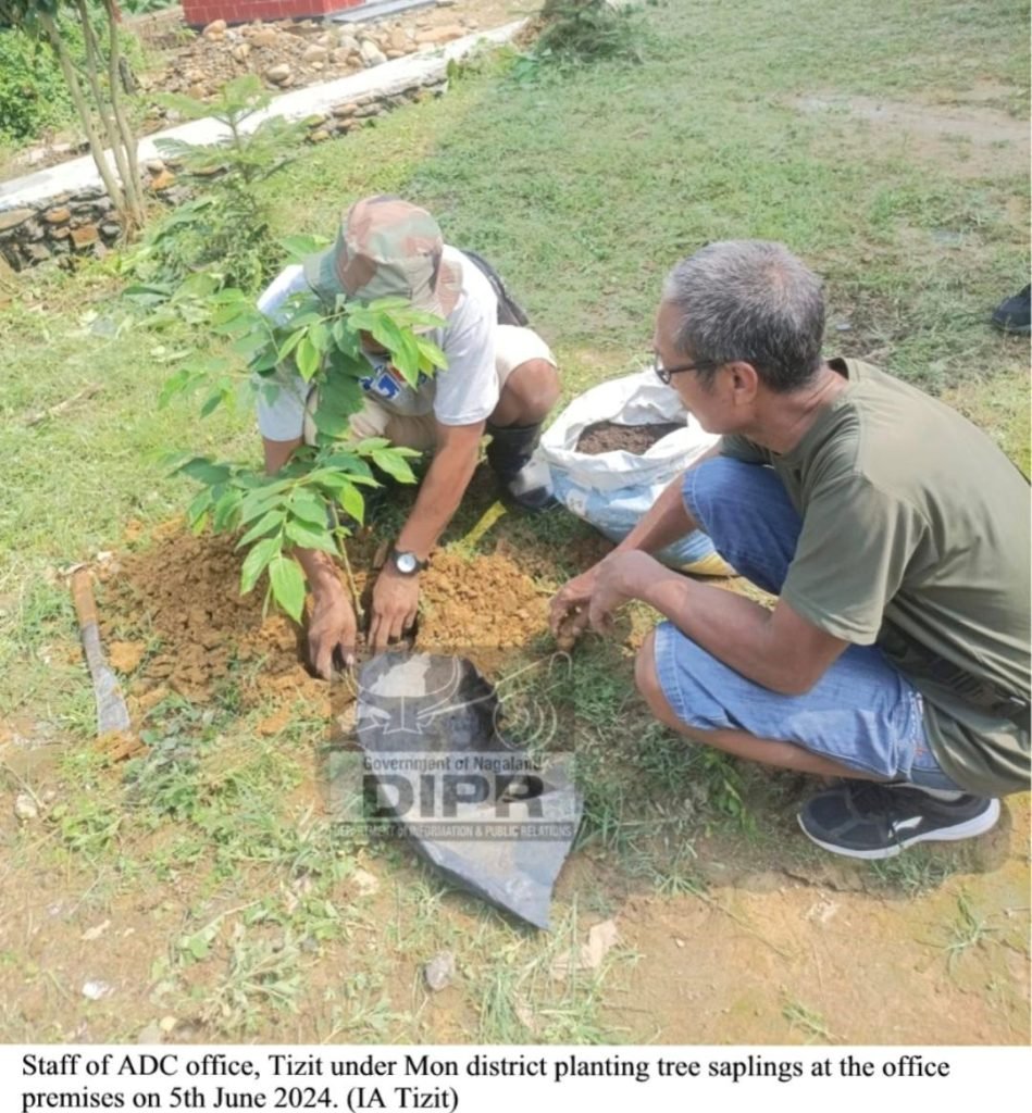 World Environment Day observed in Nagaland - Nagaland TribuneNagaland ...