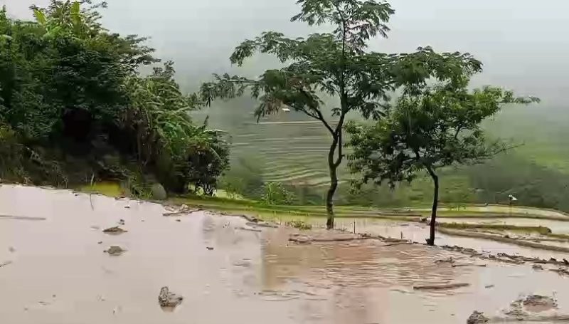 Flash floods and mudslides damage hundreds of hectares of paddy fields ...