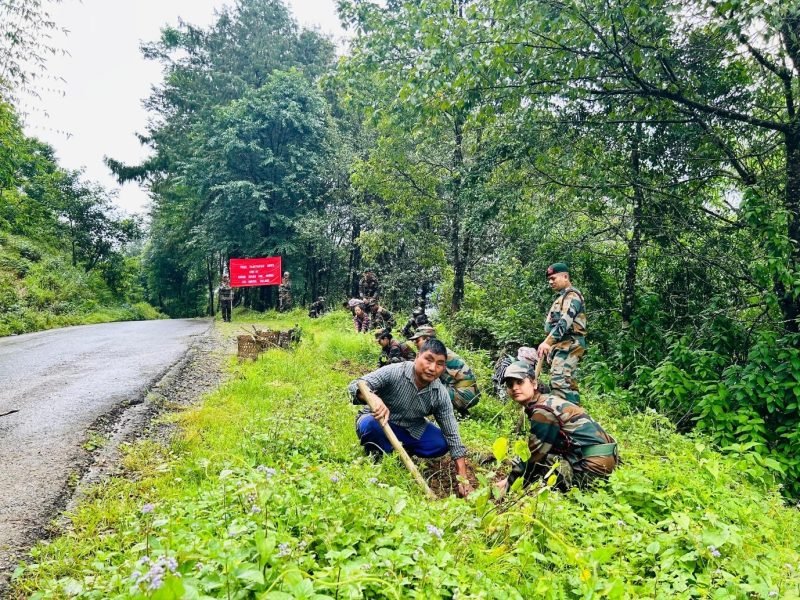 Mass tree plantation drive in Niroyo, Wokha by Assam Rifles - Nagaland ...