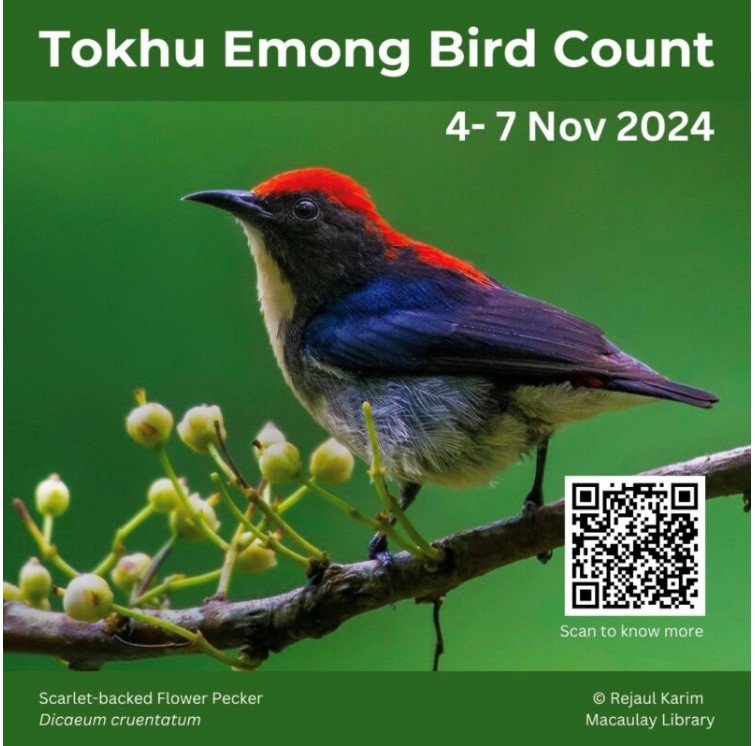Minister CL John launches 3rd Tokhü Emong Bird Count – a celebration of ...