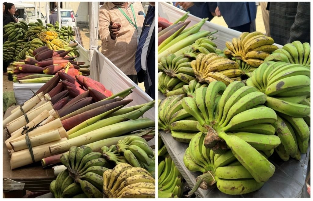 National Stakeholders Workshop on "Strengthening Banana Ecosystem for ...