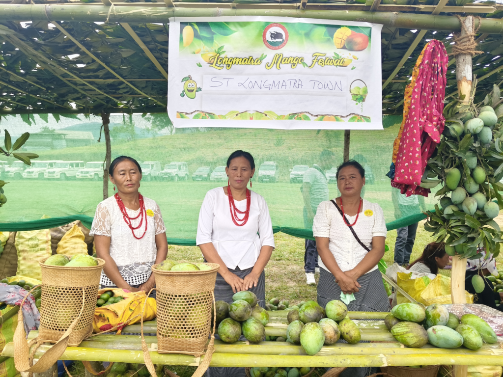 Longmatra hosts first-ever Mango Festival in Nagaland - Nagaland ...