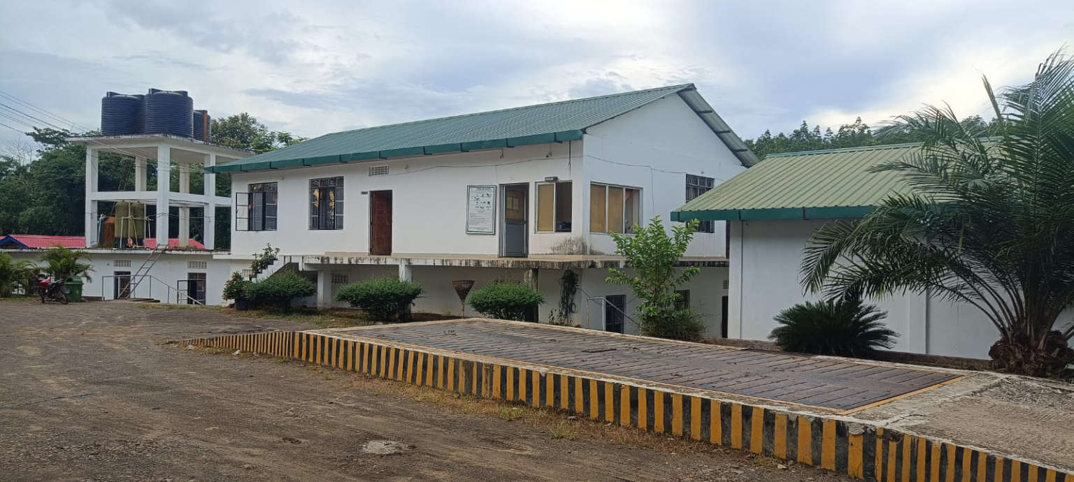 “Sustaining lives with Tea”: ATOQA brings Nagaland Gold to the world - Nagaland TribuneNagaland ...