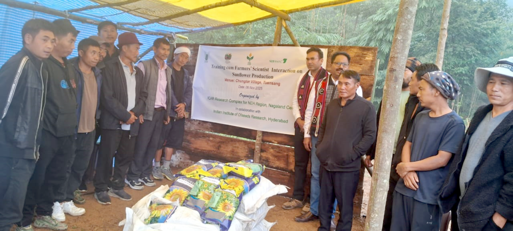 AgrinovA Oorganic Farmers launches sunflower oilseed farming initiative ...