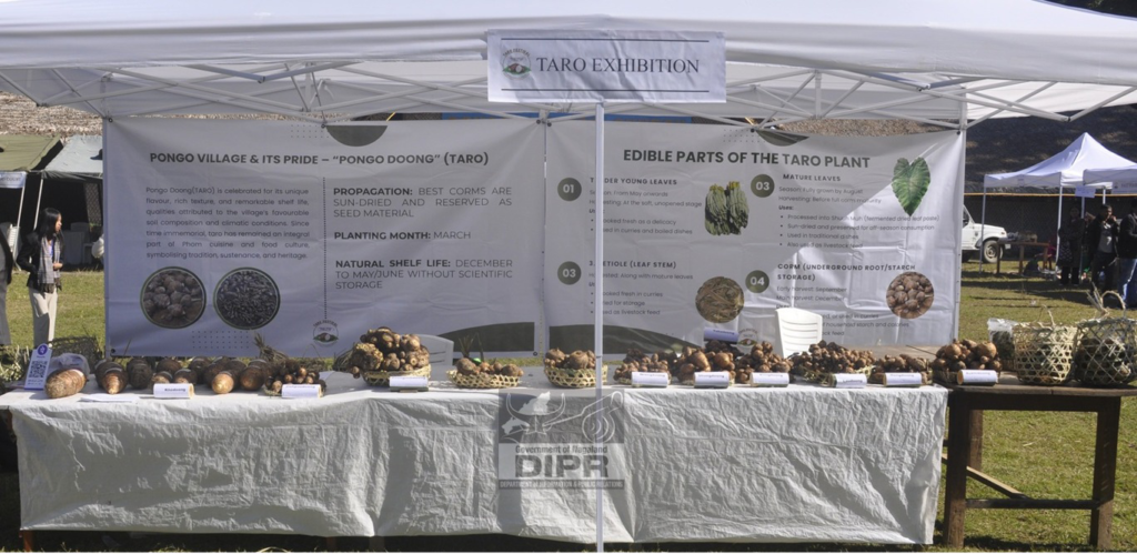 Taro festival culminates at Pongo village - Nagaland TribuneNagaland ...