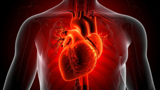Cold wave and pollution surging heart diseases, COPD, asthma cases in ...