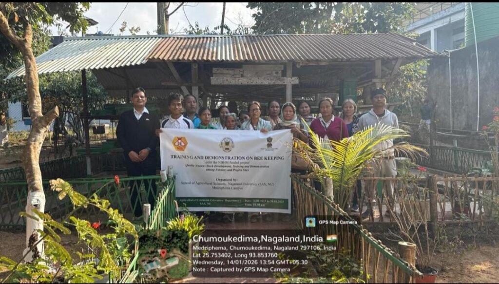 SAS: NU begins training programme on scientific beekeeping - Nagaland ...